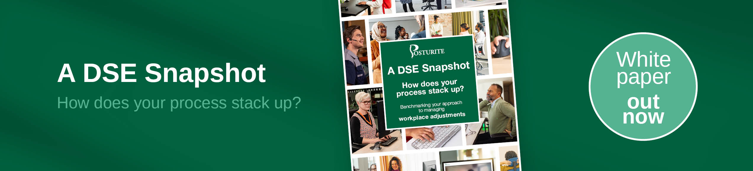 A DSE Snapshot | Posturite